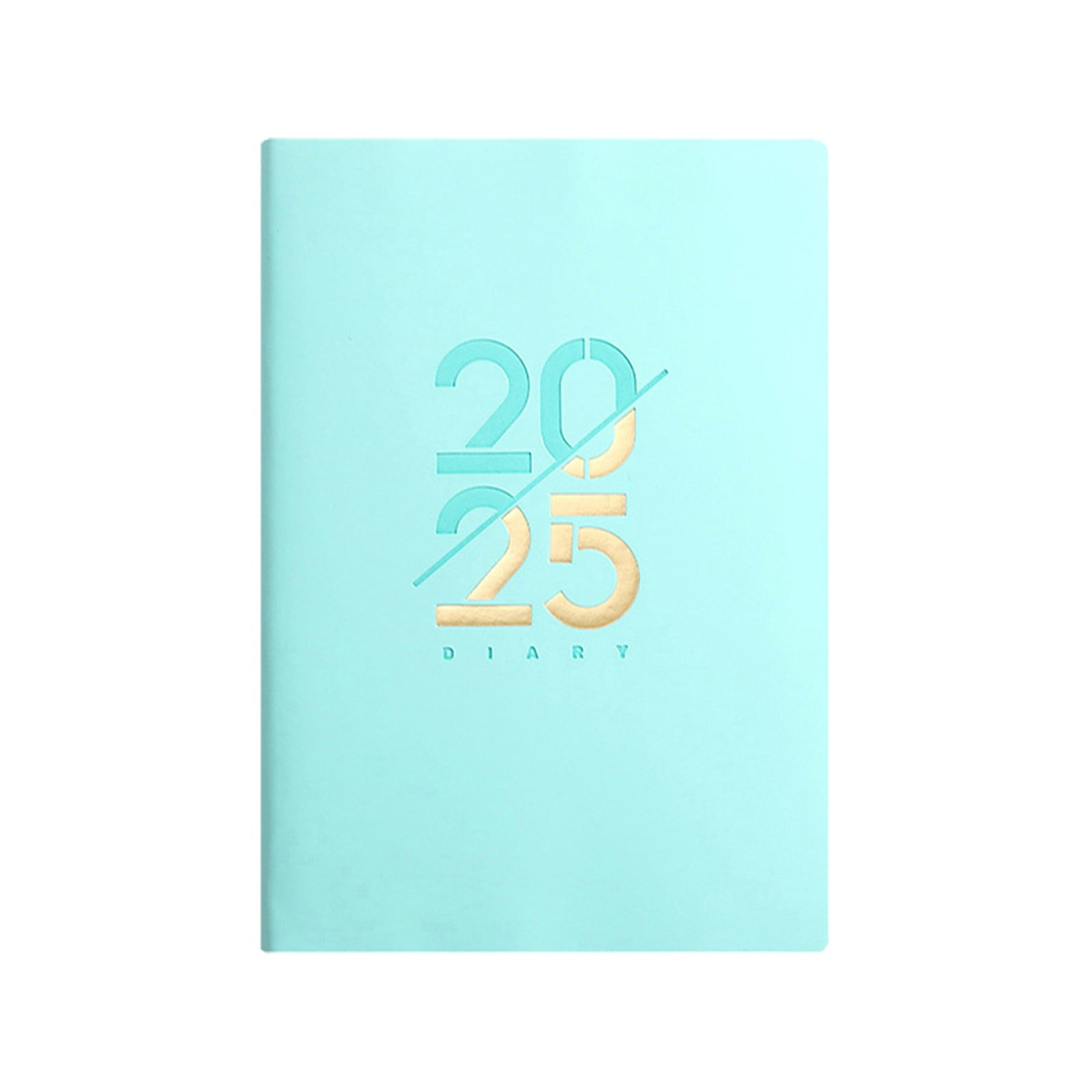 2025 Academic Planner 2025 Monthly Tabs Daily Organizer Twin Wire ...