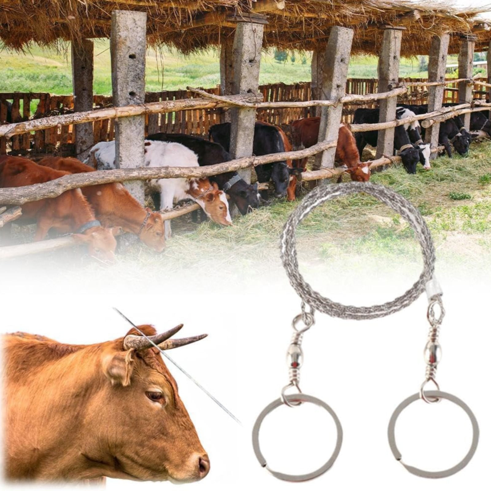 GBAYXJ Livestocks Horn Wire Simple Practical Tool Stainless Horn Sheep ...