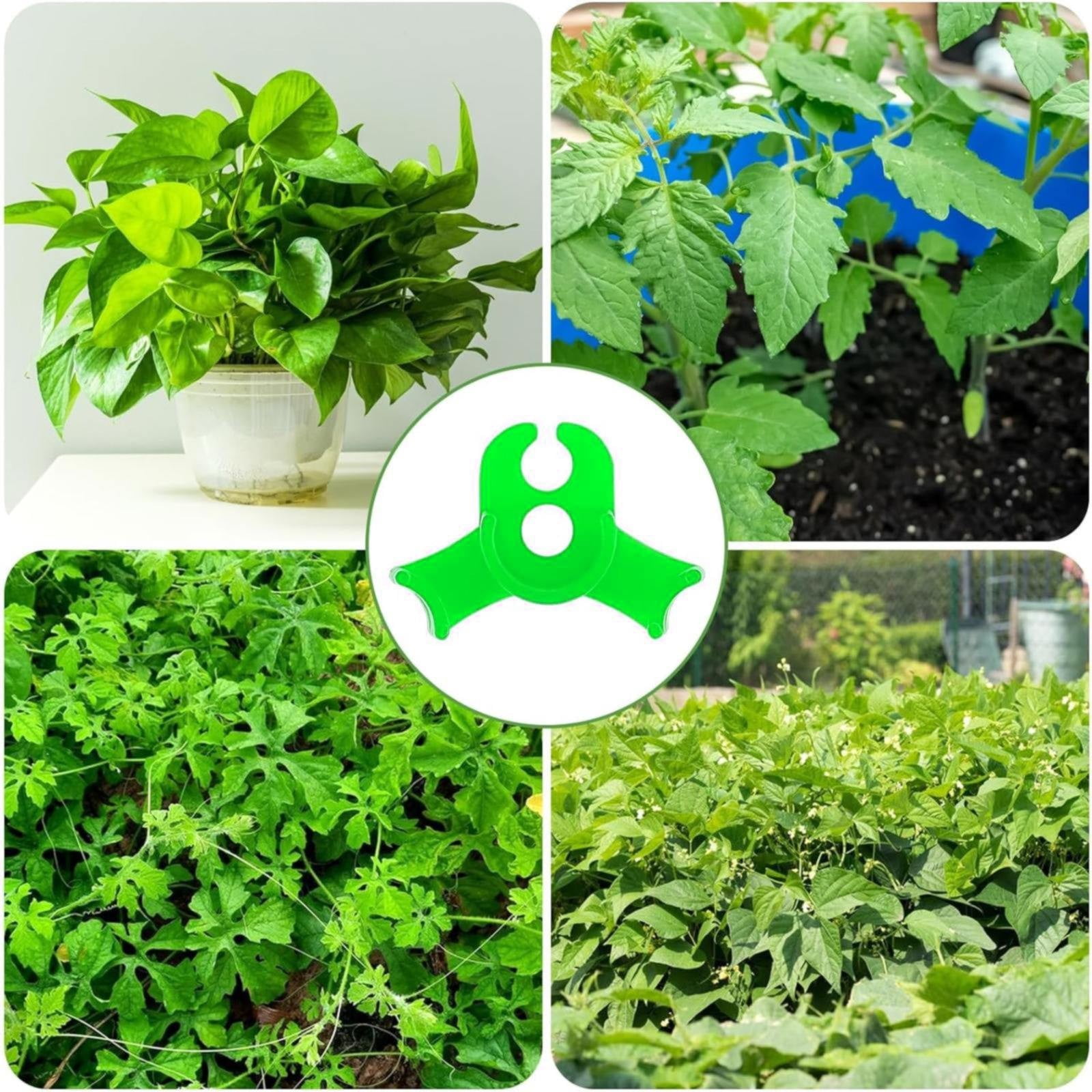 GBAYXJ Pack Of 40 Plant Benders Plant Trainer For Low Load Plant ...