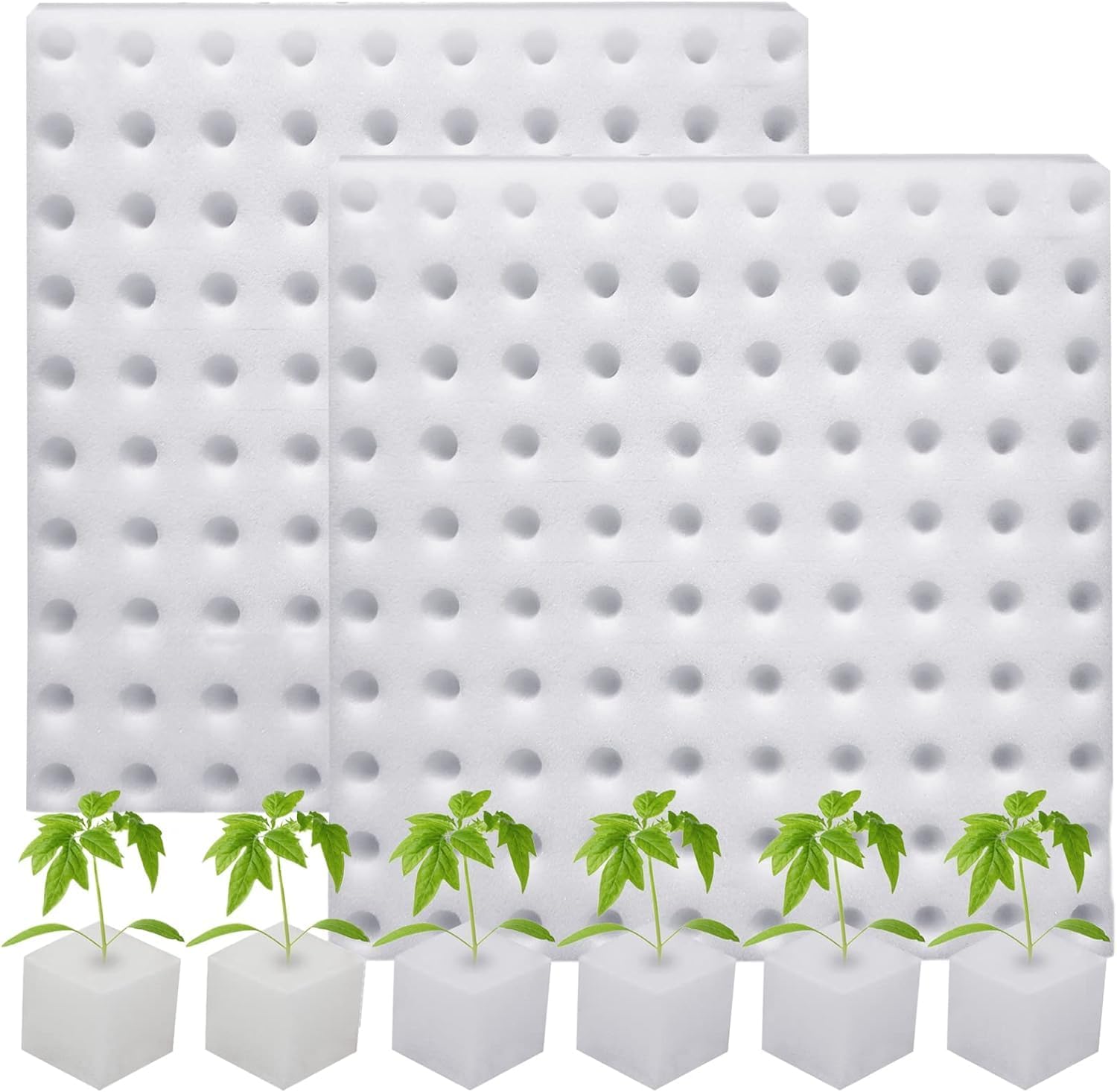 GBB-Oubit 100 Pack Hydroponic Sponge, Planting Tool Square Seedling ...