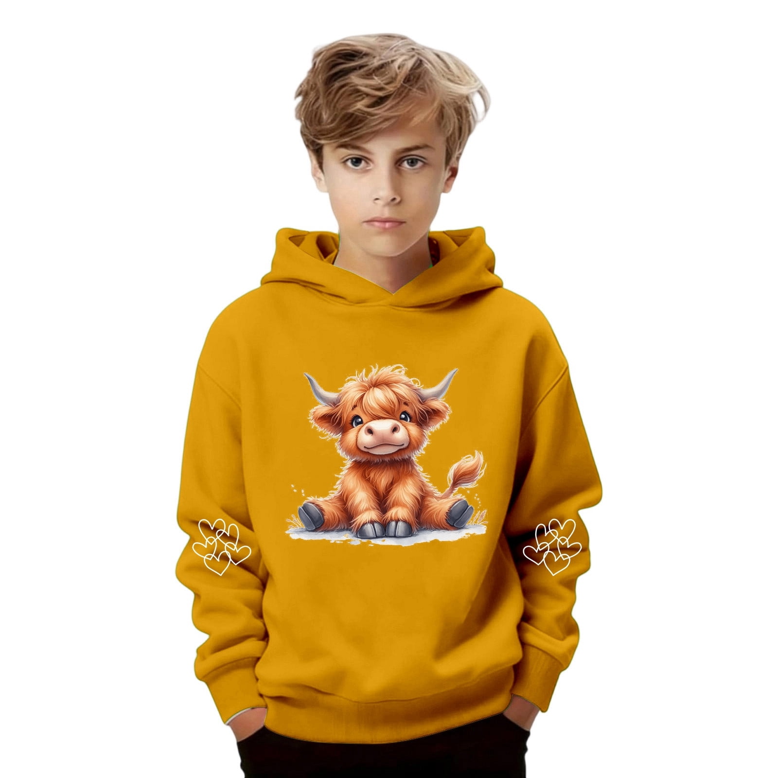 GBSYEWXS Child Little Boys Tops Hooded Long Sleeve Cartoon Print ...