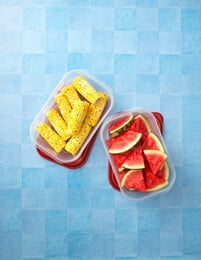 GC 1GA RECT 2PK RED - Walmart.com