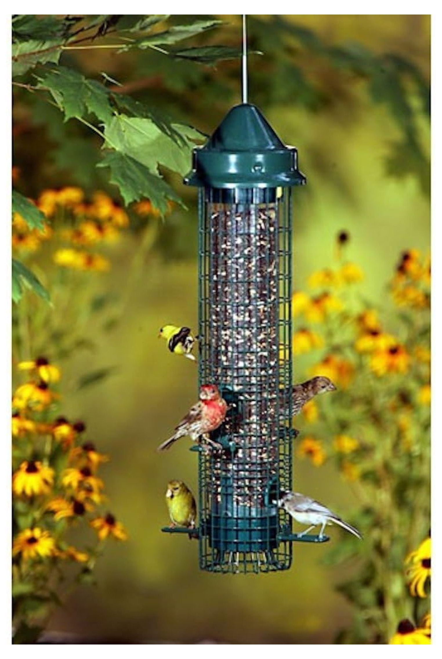 GC Care - Squirrel Buster Feeder - Classic - Walmart.com