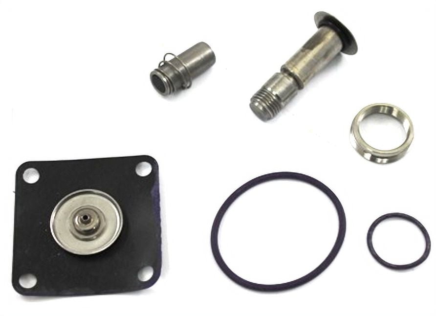 GC Valves KS211AF02C5CG4 - Repair Kit + Plunger/Tube - Walmart.com