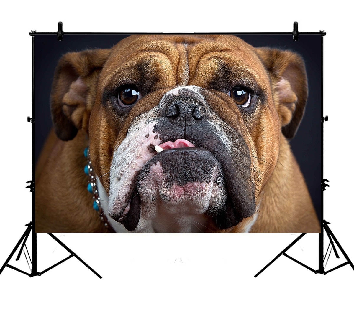 GCKG 7x5ft Bulldog Polyester Photography Backdrop Studio Photo Props ...