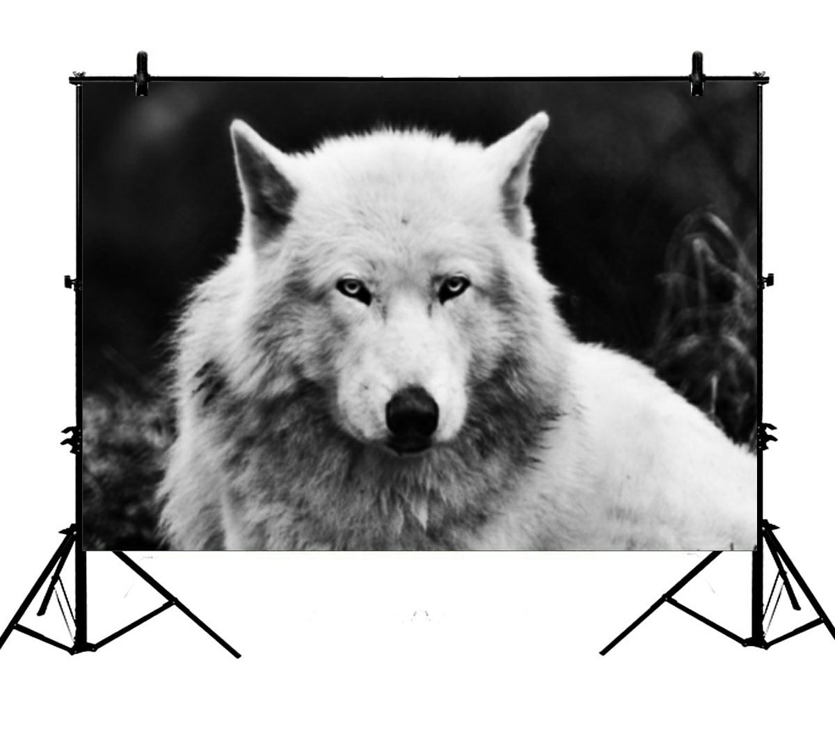 GCKG 7x5ft Wolves White Wolf Animals Polyester Photography Backdrop ...