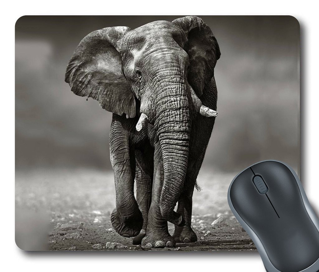 GCKG Elephant Mouse Pad Personalized Unique Rectangle Gaming Mousepad 9 ...