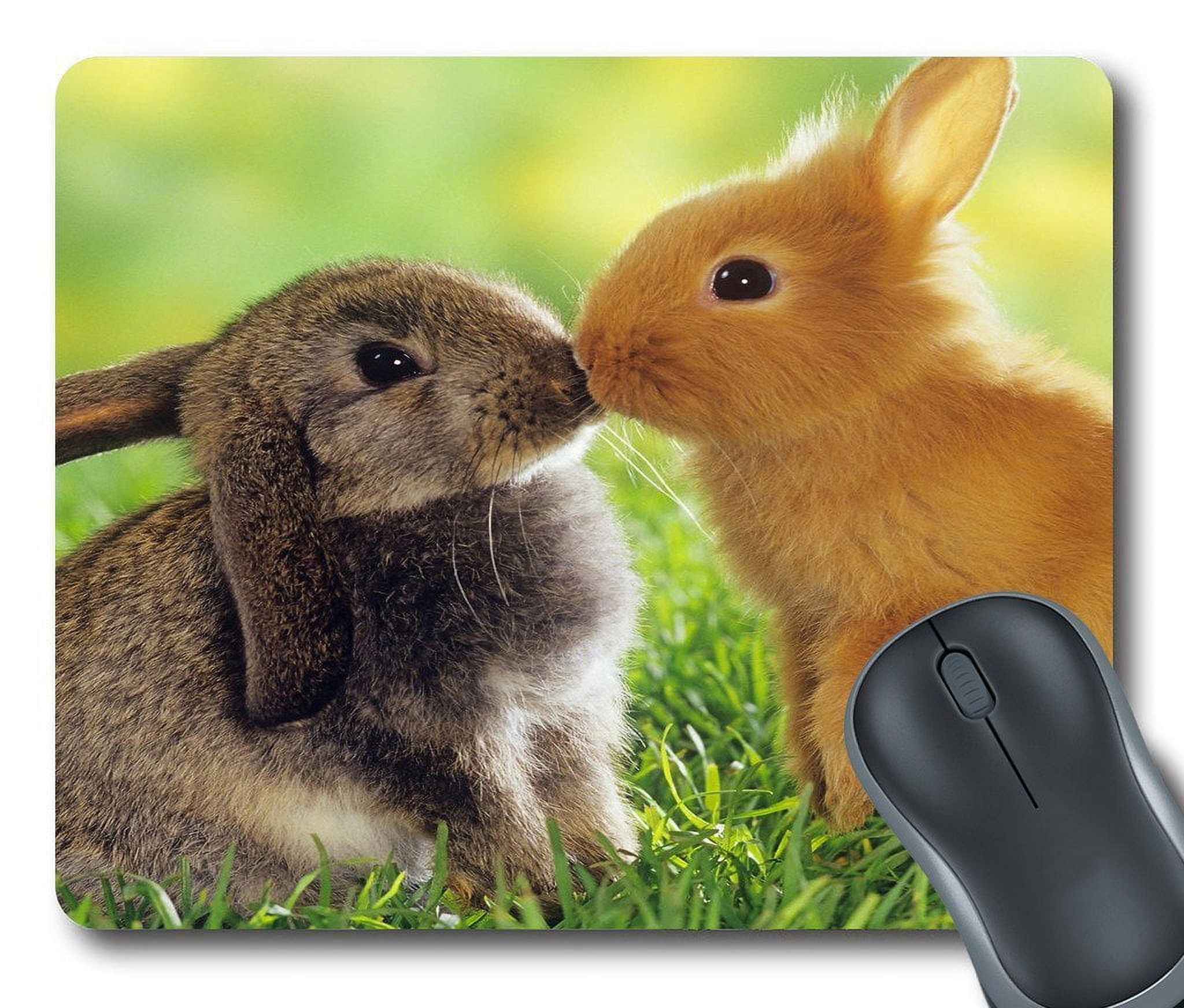 GCKG Fluffy Bunny Rabbits Mouse Pad Personalized Unique Rectangle ...