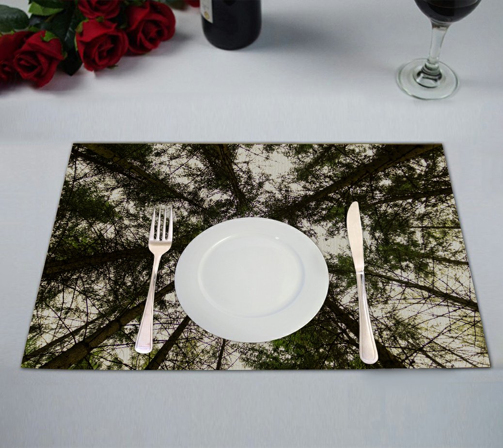 GCKG Forest Woodland Placemat, Growing Stretching Tree to the Sky ...