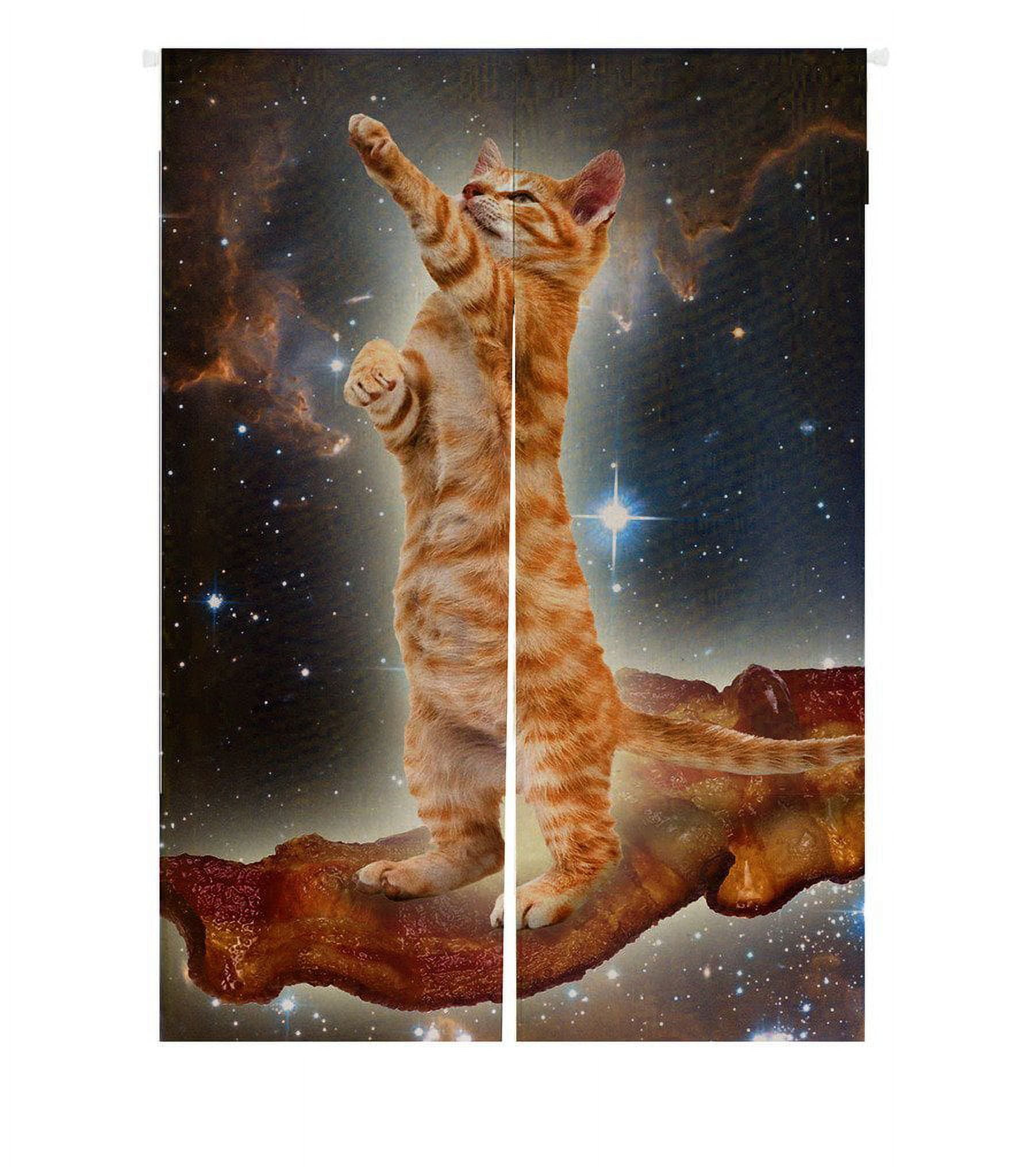 GCKG Funny Bacon Cat in Space Pattern Doorway Curtain Japanese Noren ...