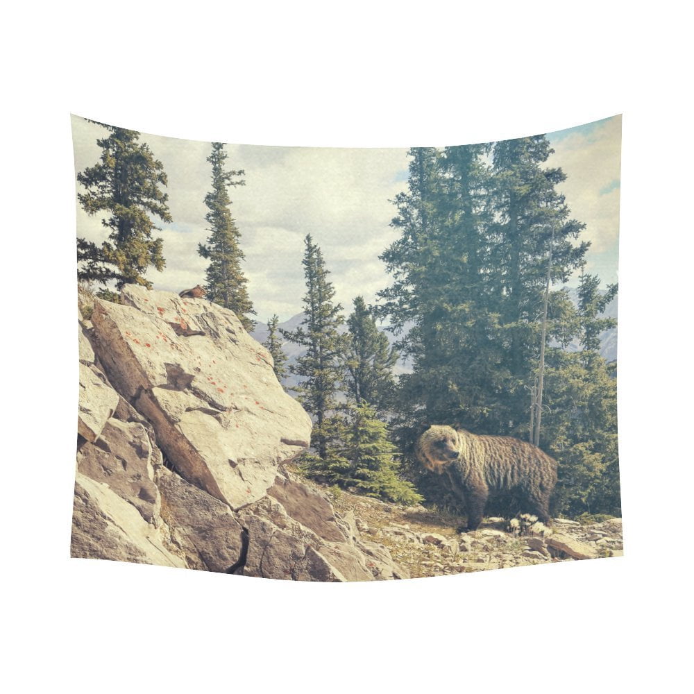 GCKG Grizzly Brown Bear Wild Animal Tapestry Horizontal Wall Hanging ...