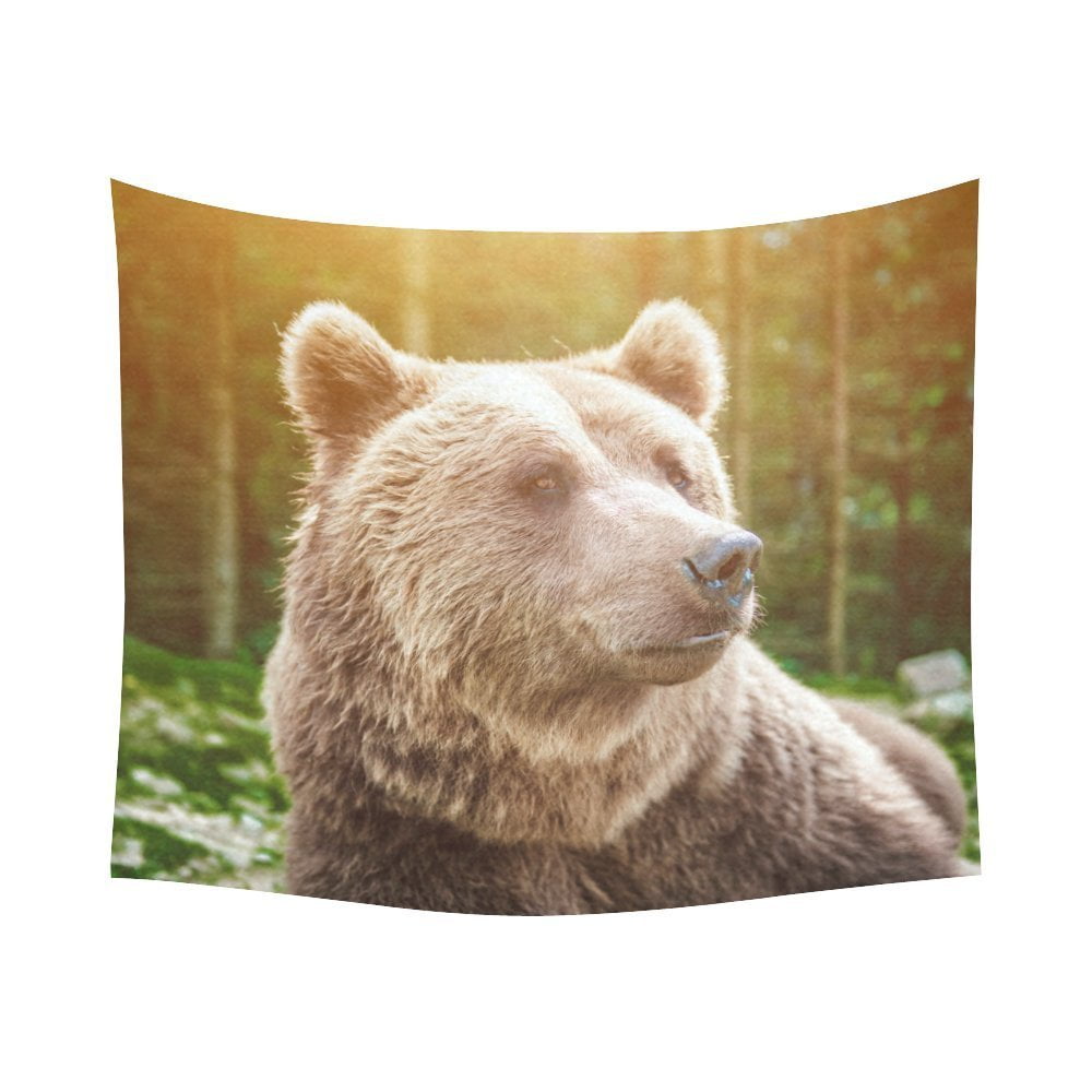 GCKG Grizzly Brown Bear Wild Animal Tapestry Horizontal Wall Hanging ...