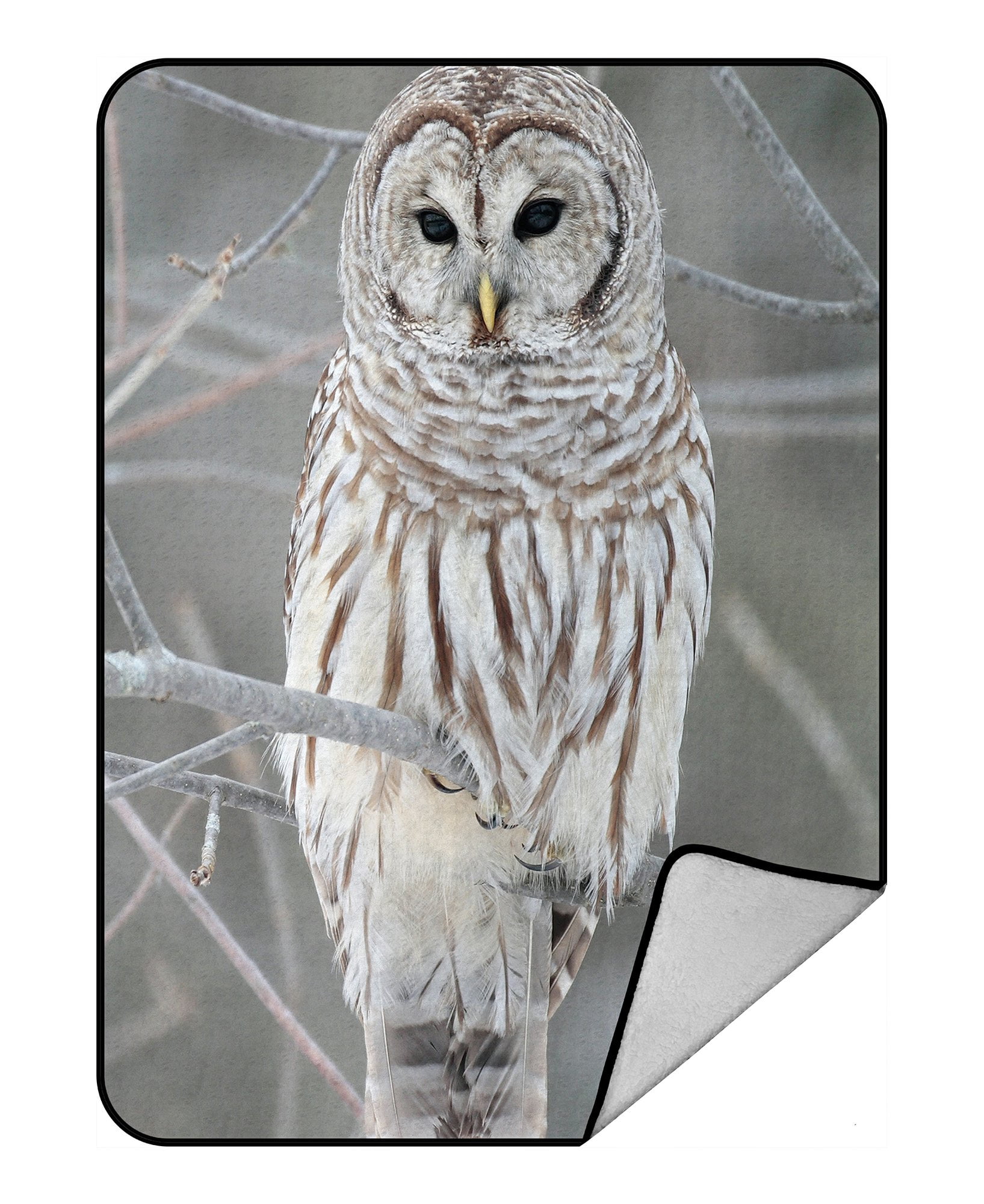 GCKG White Cute Owl Perch On Tree Fleece Blanket Crystal Velvet Front ...