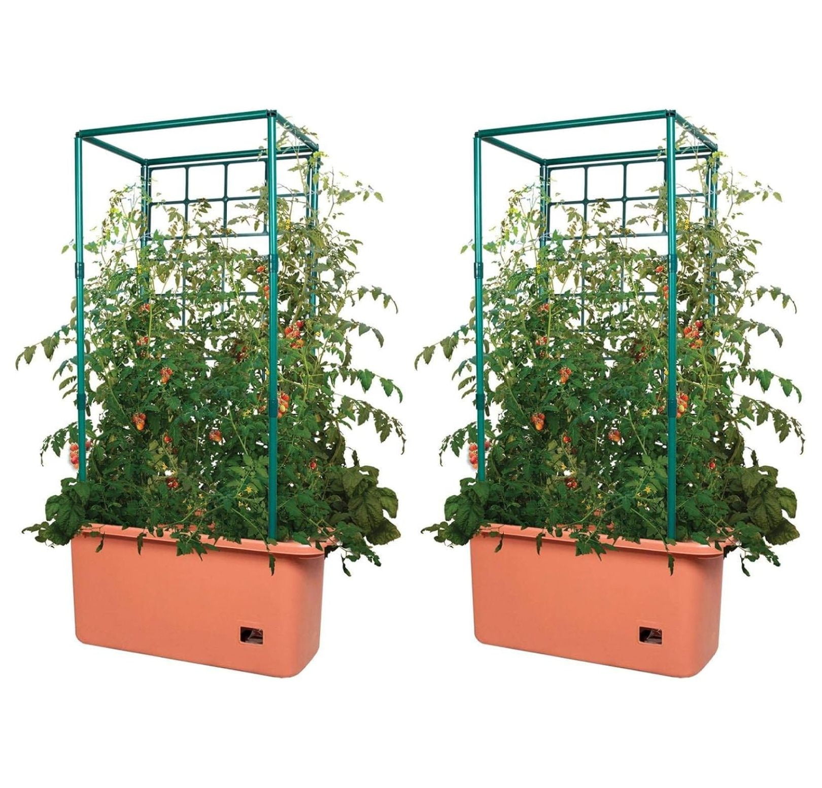 GCTR 10 Gal Tomato Trellis Self Watering Garden Grow System on Wheels ...