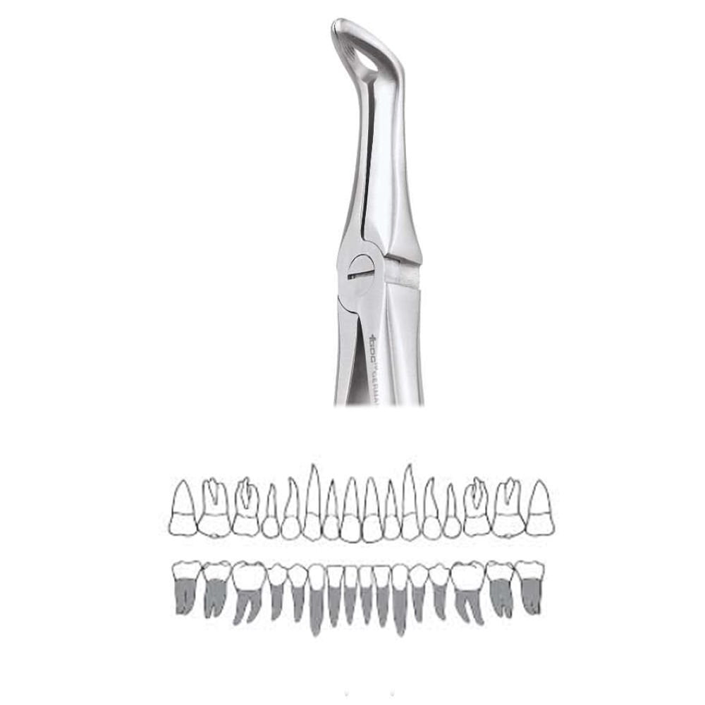 GDC Extraction Forceps Lower Roots - 45 Standard (Fx45s) - Walmart.com