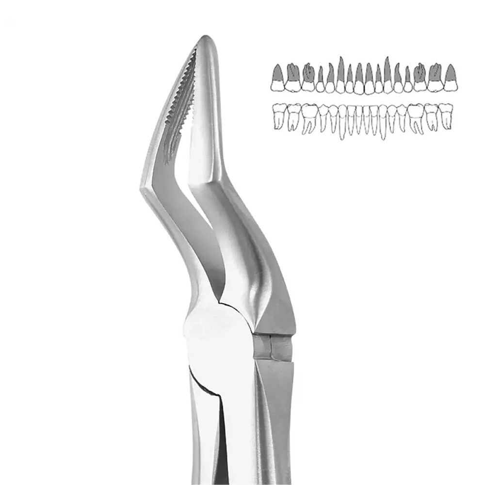 GDC Extraction Forceps Upper Roots - 51A Standard (FX51AS) - Walmart.com