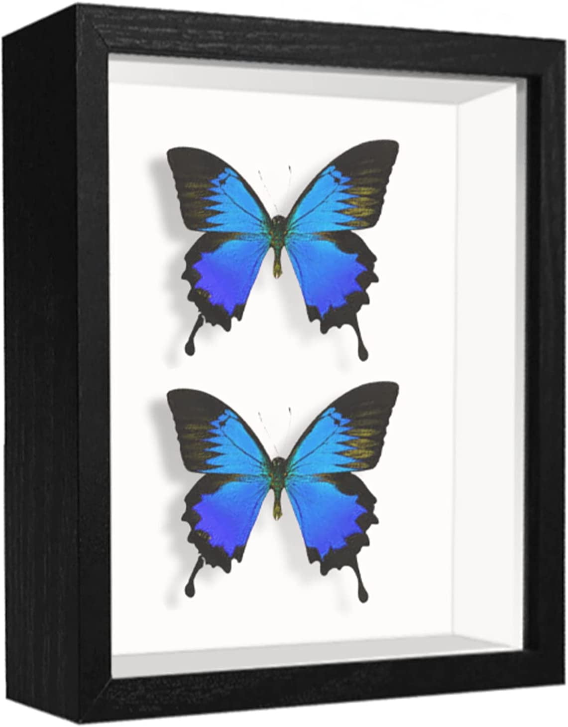 GDDPOD-5x7 Small Shadow Box Frame Display Case, Display Case Box for ...