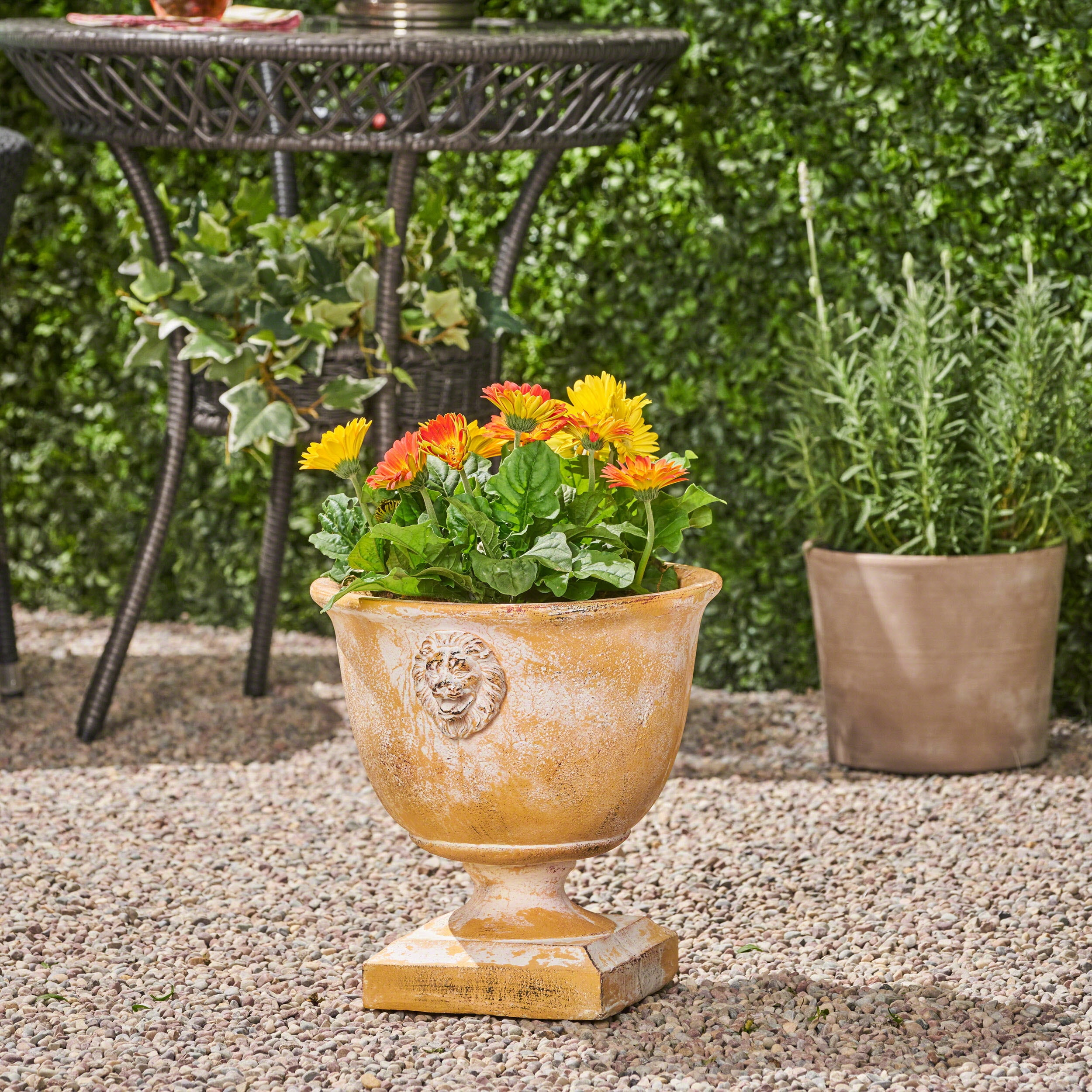 GDF Studio Alder Outdoor Traditional Roman Chalice Cast Stone Garden ...