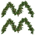 GDF Studio Christmas Garland with Mixed Needles, 20 Pine Cones, 50 LED ...