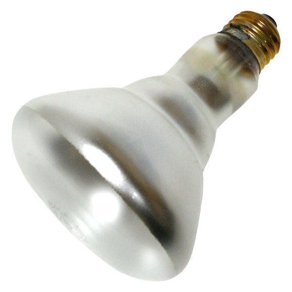 Rough Service Light Bulbs
