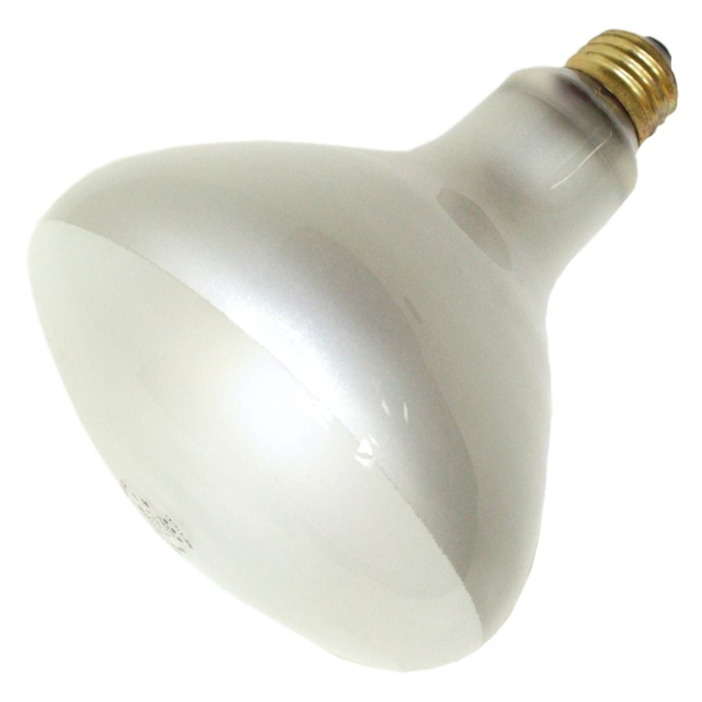 GE 48316 - 500R40/5FL/SLV Reflector Flood Light Bulb - Walmart.com