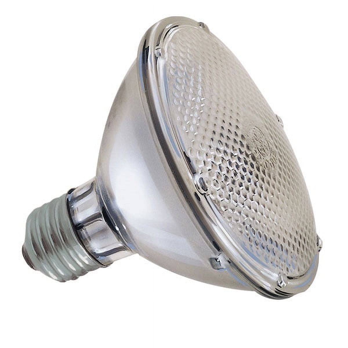 GE Indoor Small Flood 60W 120V PAR30 FL25 Halogen E26 Medium Screw ...