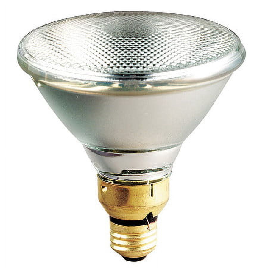 GE LIGHTING Halogen Floodlight,PAR38,45W 45PAR/HIR+/FL25 - Walmart.com