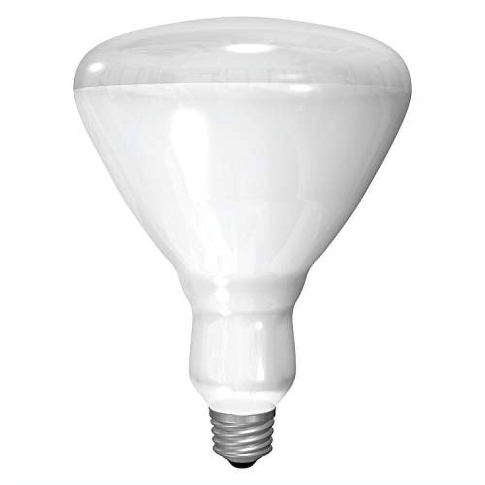 GE Lighting 20996 65 Watt Plant Light Bulb - Walmart.com