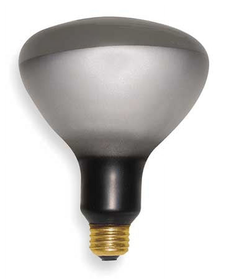 GE Lighting 21229 300-Watt, 3000-Lumen R40 Light Bulb with Medium Base ...