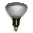 GE Lighting 21229 300-Watt, 3000-Lumen R40 Light Bulb with Medium Base ...