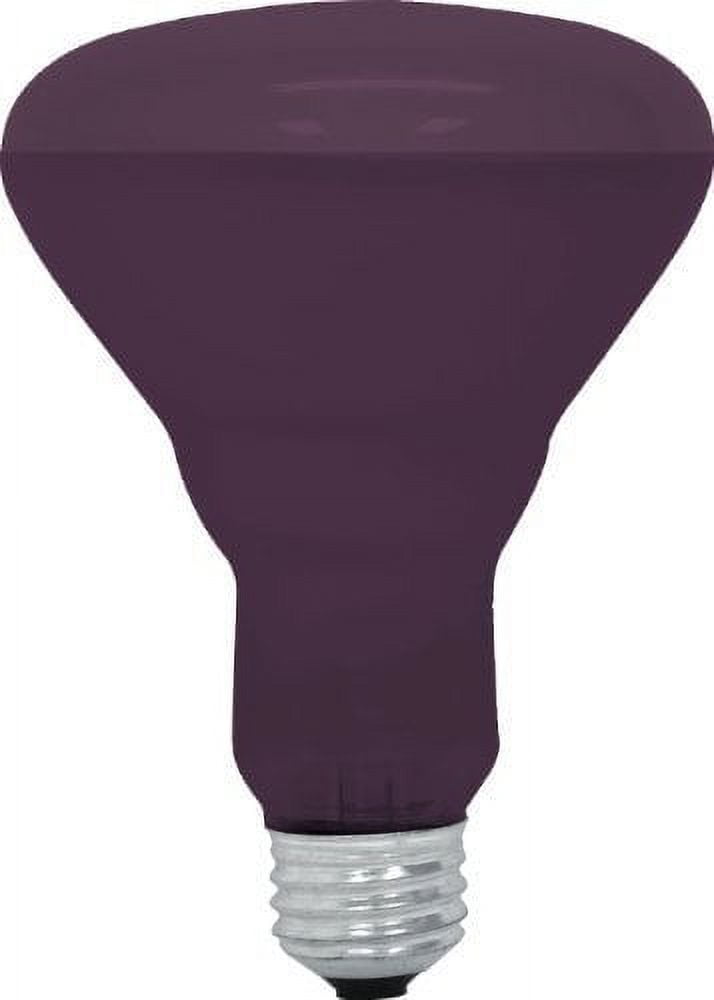 General Electric R30 Incandescent 75W Reflector Light Bulb - Walmart.com