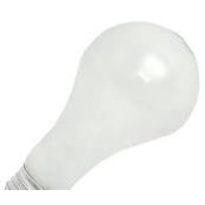 Rough Service Light Bulbs