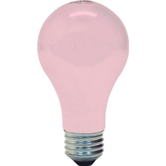 GE Lighting 97484 100-Watt 1330-Lumen Decorative A19 Incandescent Light ...