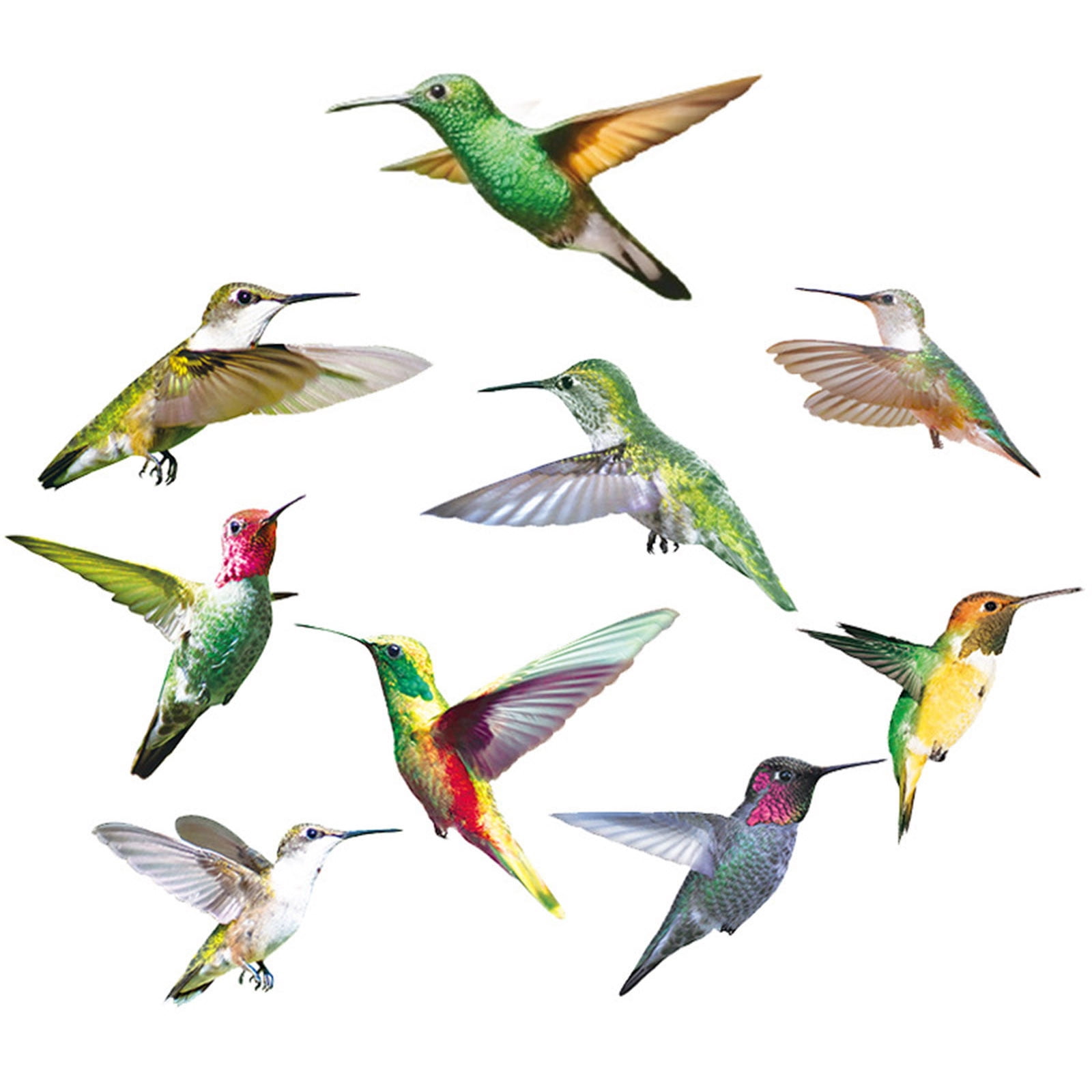 GEGNXA 1 Set Of 9 Hummingbirds Windows Sticker -Collision Window Clings ...
