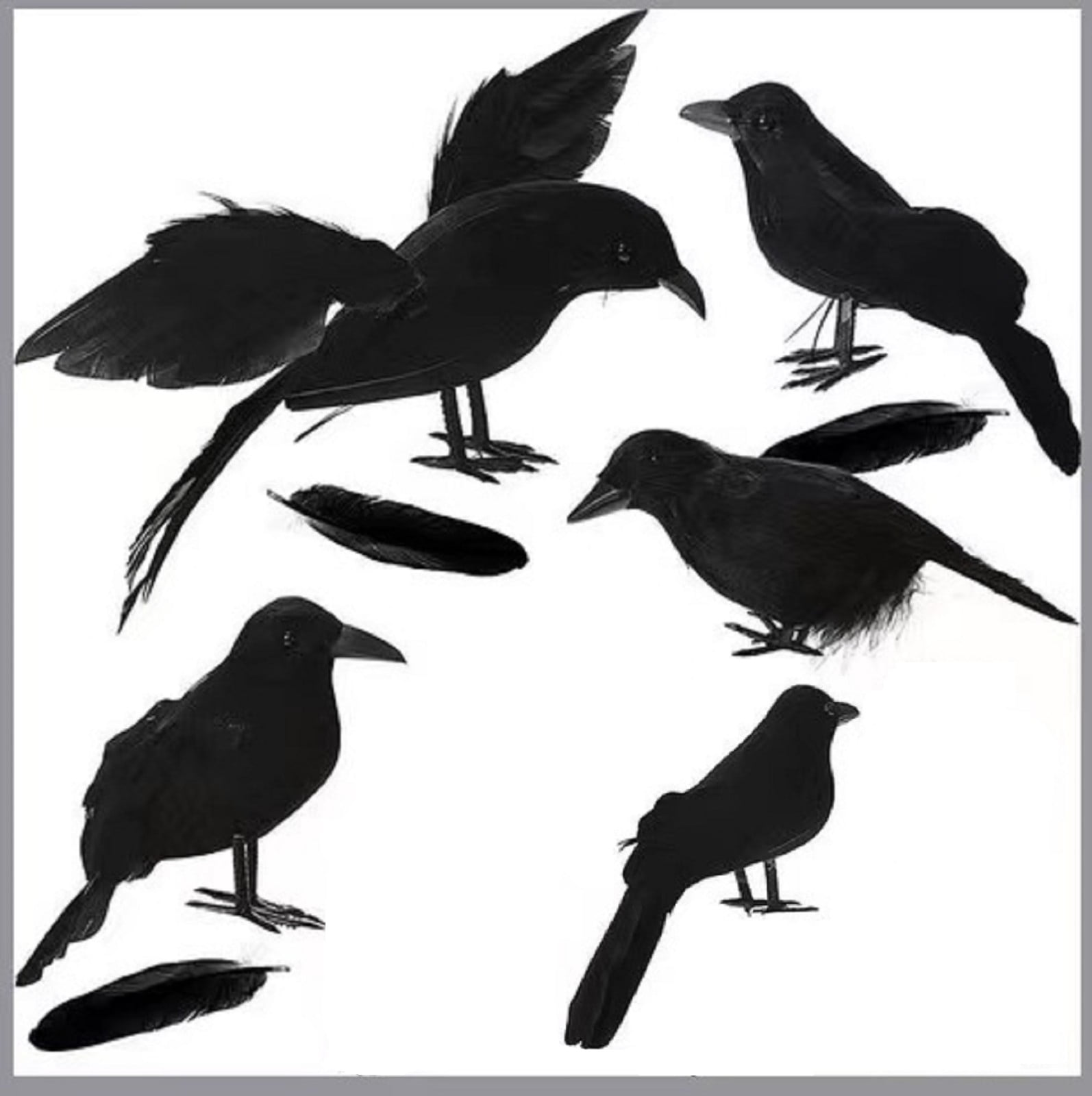 GEGNXA 5 Pack Halloween Decorations Halloween Decor Assorted Size Crow ...