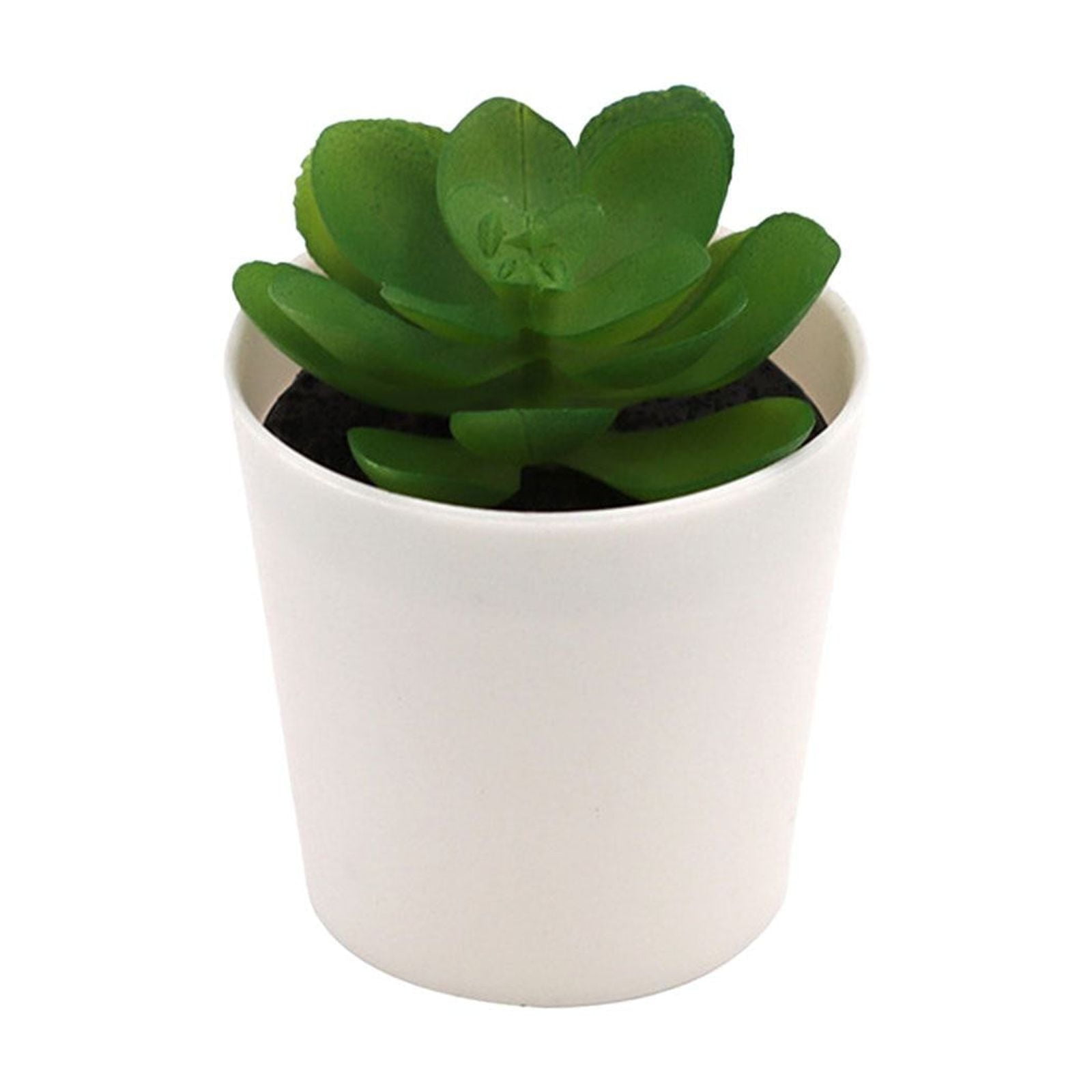 GEGNXA Uguisu Small Mini Plants Succulents Artificial Succulents ...