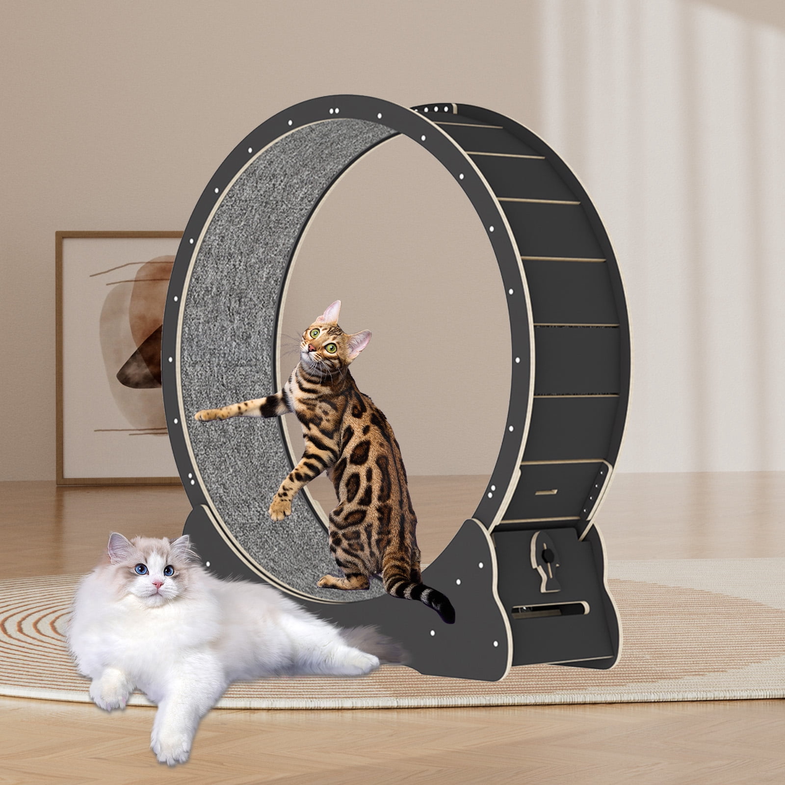 GELUOXI 39.3" Cat Exercise Wheel, Low Noise Cat Wheel Exerciser, Safety ...