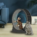 GELUOXI 43.3" Cat Exercise Wheel, Low Noise Cat Wheel Exerciser, Safety ...