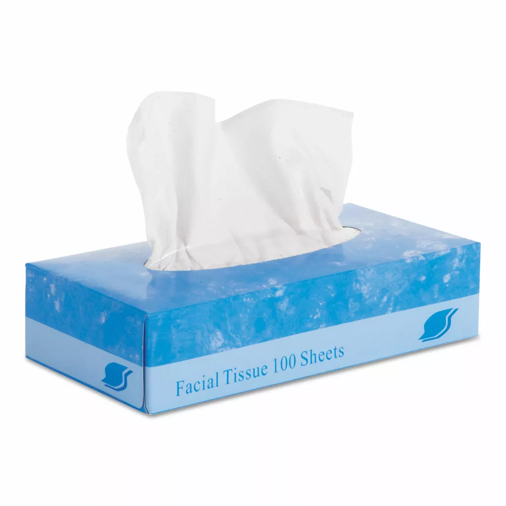 GEN Facial Tissue Flat Box 2-Ply 8" x 8.3" 100/Box 30 Boxes/Carton 6501 ...