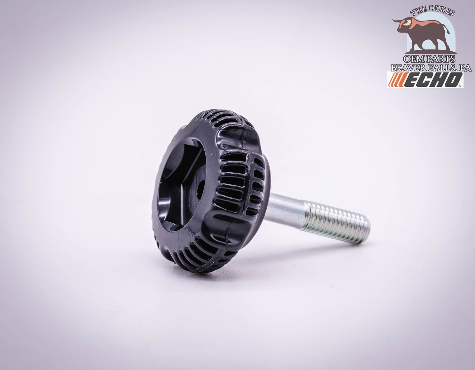 GENUINE ECHO AIR FILTER COVER SCREW FITS BLOWERS PB-755ST V299000650 ...