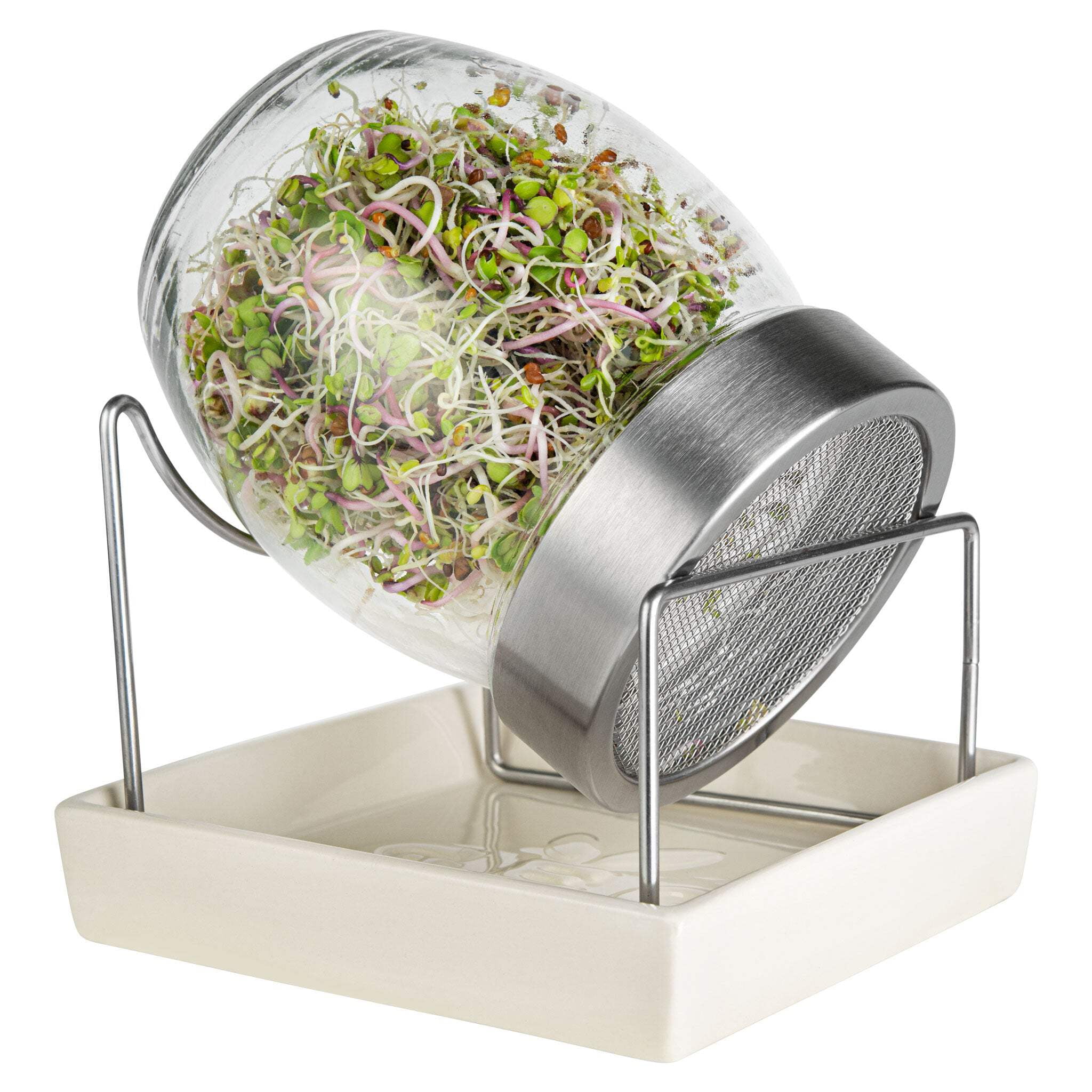GEO Sprouting Jar System with Stainless Steel Rack and Ceramic Base ...