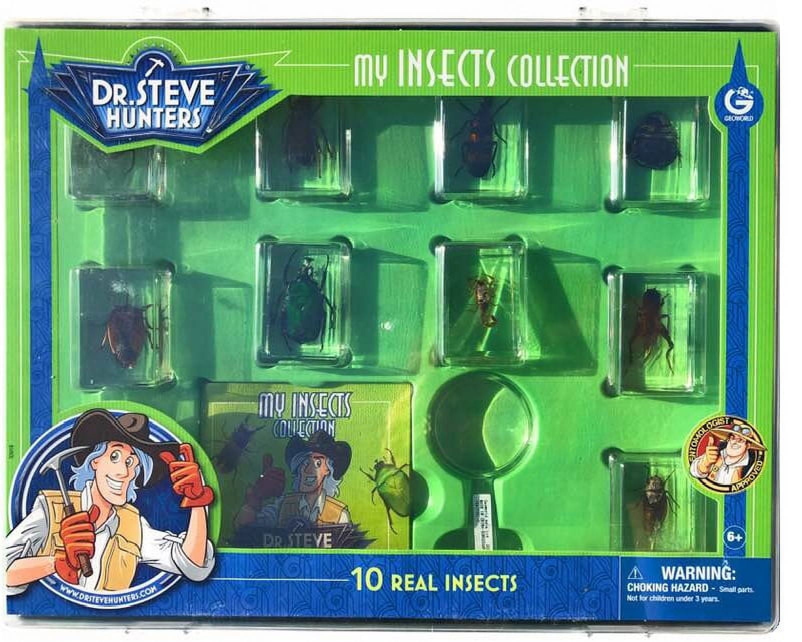 Dr. Steve Hunters Science Collector Kit - My Insects Collection Kit ...