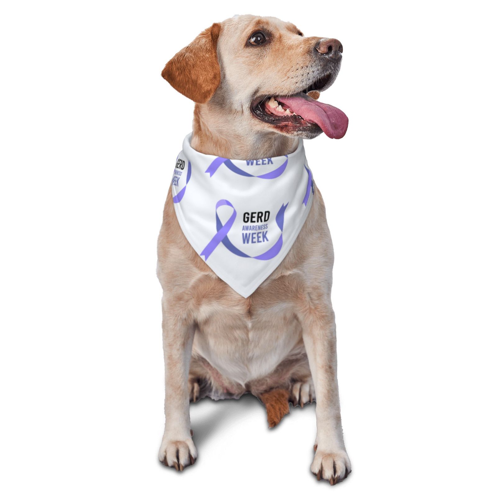 GERD Awareness Week Ribbon Dog Bandana Adjustable Triangle Bibs Cats ...