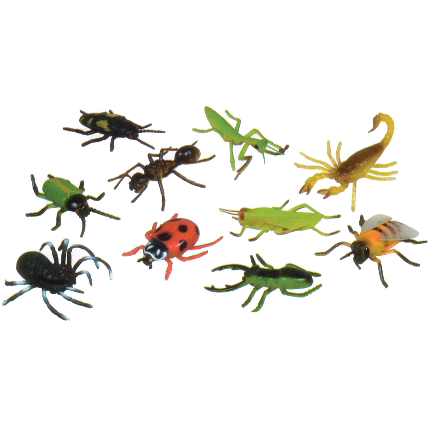 Insects, 5", Set of 10 - Walmart.com