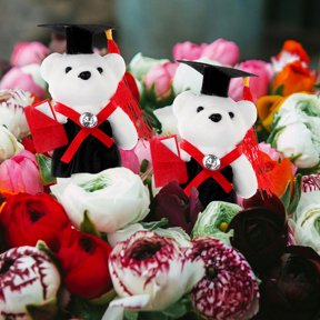Graduation Bears Bulk