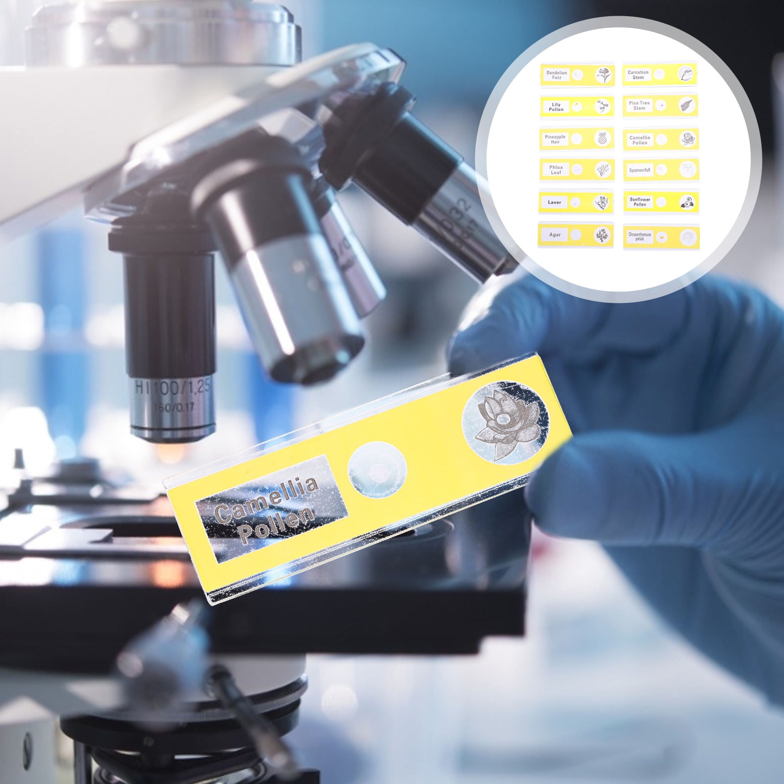 GETAJGHSD 12Pack Microscope Slides for Plants Sample Specimens Yellow ...