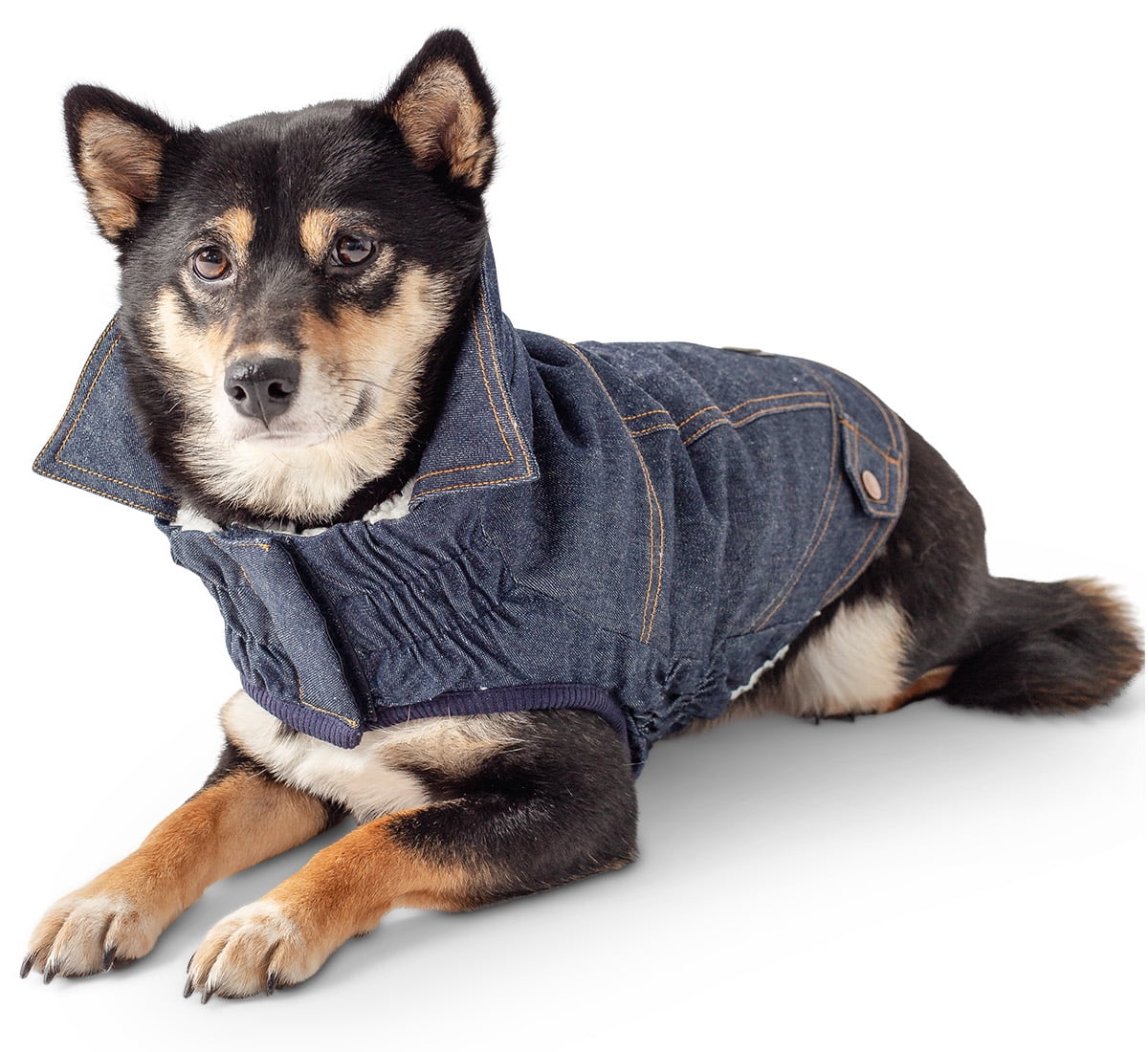 GF PET Denim Dog Jacket Elastofit Apparel for Small Medium Large Dogs ...
