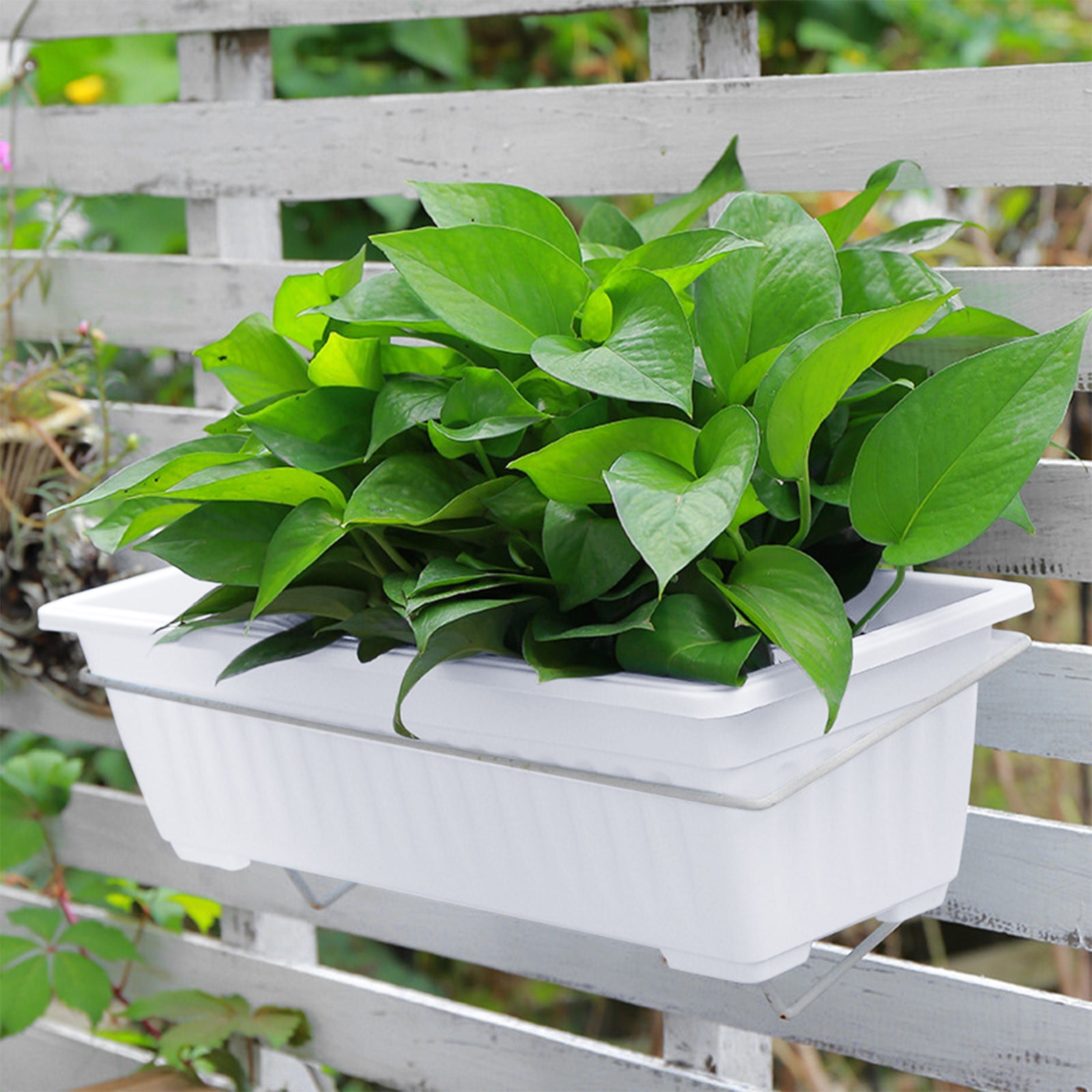 GFHFHTJ Window Box Planter, Plastic Vegetable Flower Planters Boxes ...