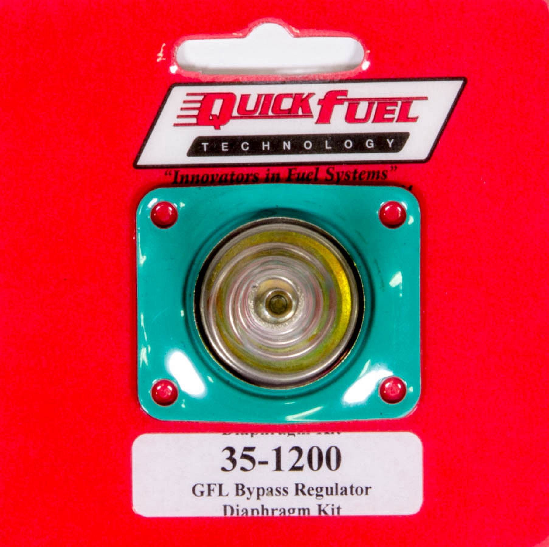 GFLT Bypass Pressure Regulator Diaphram - Walmart.com