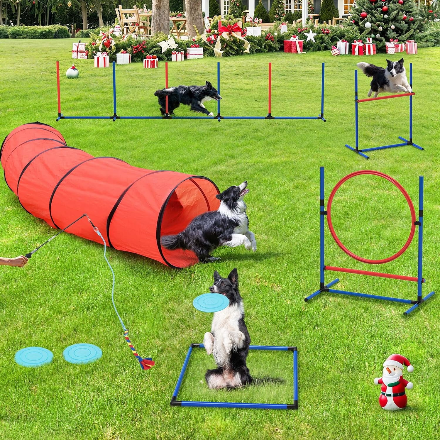 GFNXYI Dog Agility Kit: Includes Flirt Pole Accessorie, 2 Hurdles, 3 ...